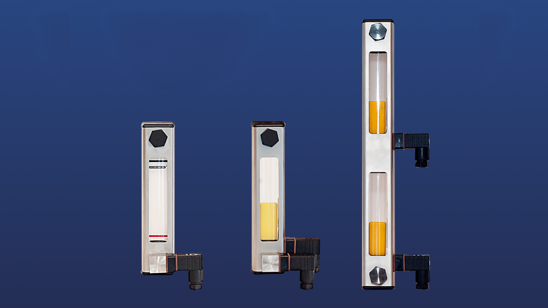 PGA-E liquid level gauges – full control of liquid levels - Hydromega ...